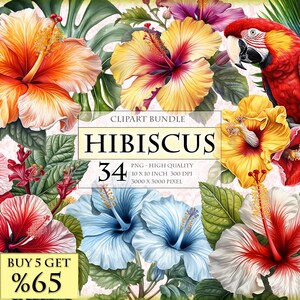Hibiscus, Tropical Flowers, Watercolor Clipart Bundle, HQ Printable ...