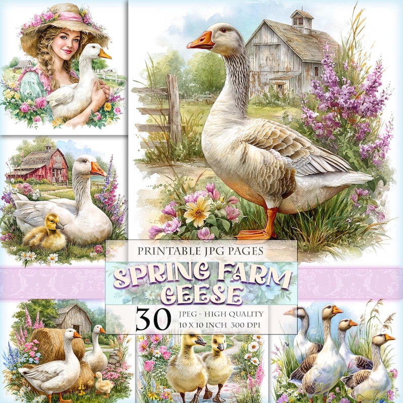 Goose Farm Clipart - Etsy