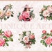 Camellias Camellia Flower Themed Watercolor Clipart Bundle, HQ ...