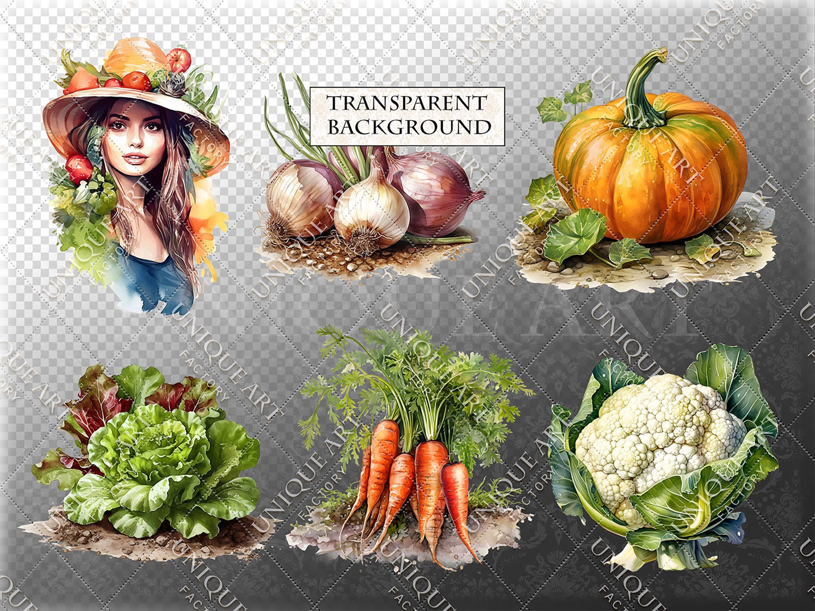 Vegetables Vol.01 - Watercolor Clipart Bundle - HQ Printable PNG and ...