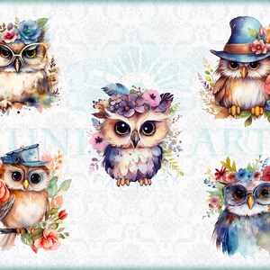 Cute Owls Watercolor Clipart Bundle HQ Printable PNG - Etsy