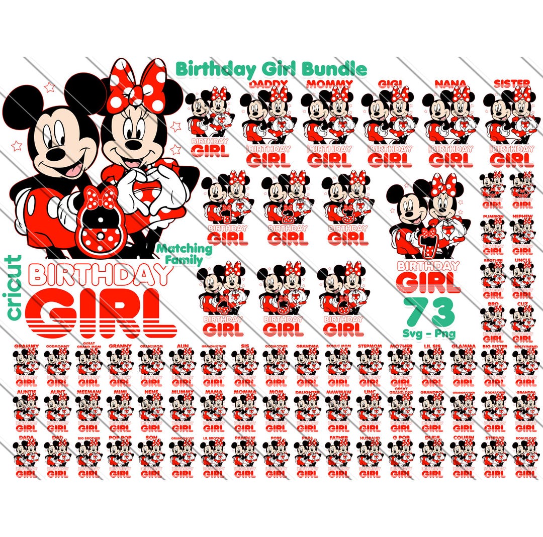 Minnie Mouse Birthday Girl Bundle, Matching Family Birthday Set, Mickey ...