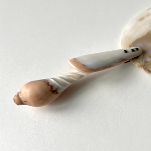 Antique Mother-of-pearl Serving Spoon | Vintage Handmade Large Caviar ...