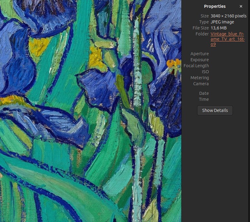 Vincent Van Gogh 'irises' High-resolution Digital Art for Samsung Frame ...
