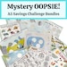 Oopsie Mystery Pack, Savings Challenge Bundle, A6 Size, Imperfect, Seconds - Etsy