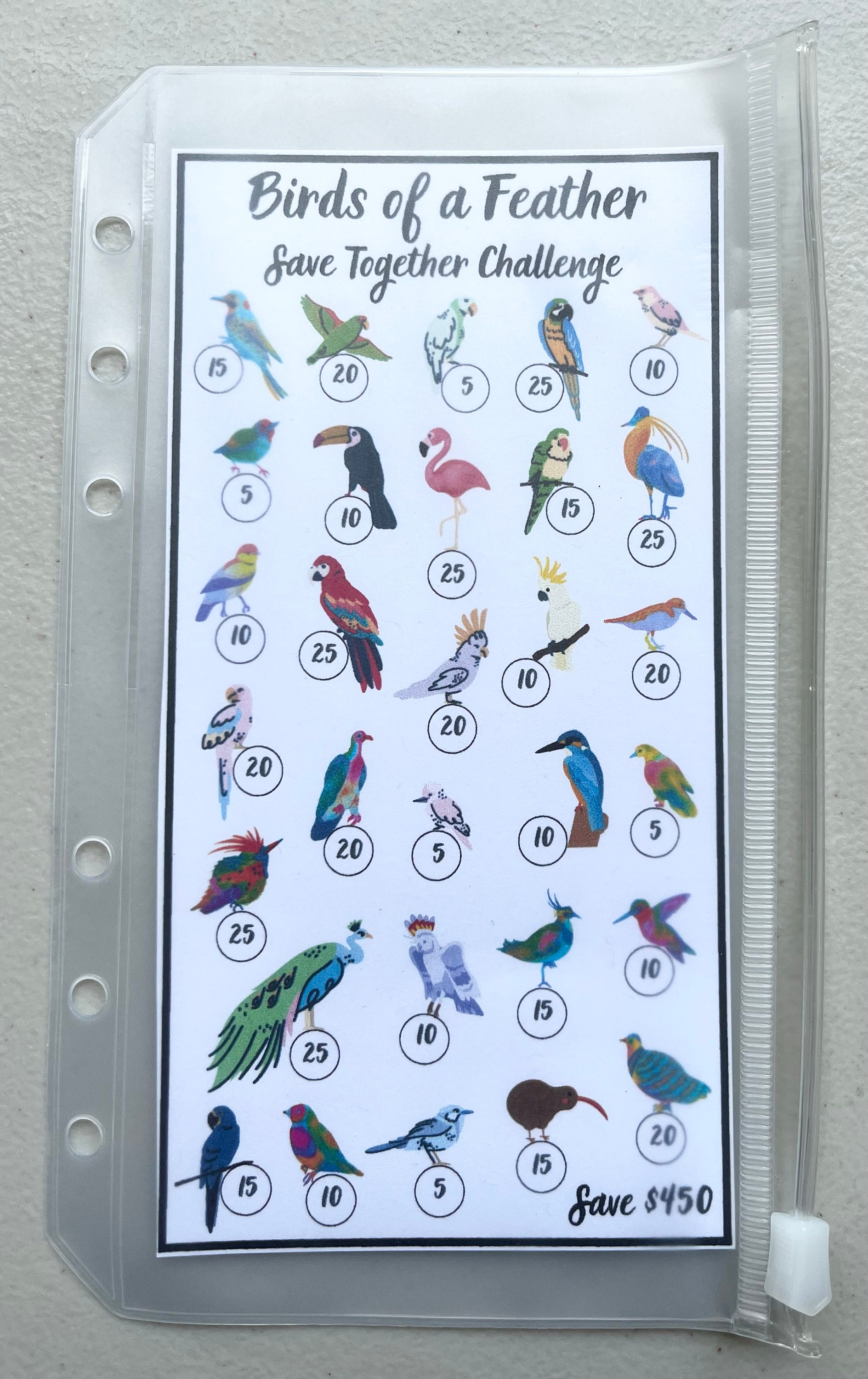 Savings Challenge Printable, A6, Birds of a Feather Save Together ...