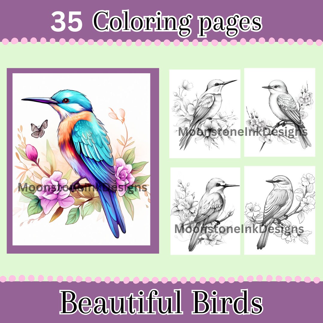 Beautiful Birds Coloring Pages 35 Digital Downloads Fantasy - Etsy