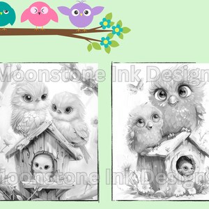 Whimsical Birds Adult Coloring Pages, 16 Digital Downloads, Grayscale ...