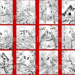 Winter Cardinals Adult Coloring Pages, 20 Digital Downloads, Grayscale ...