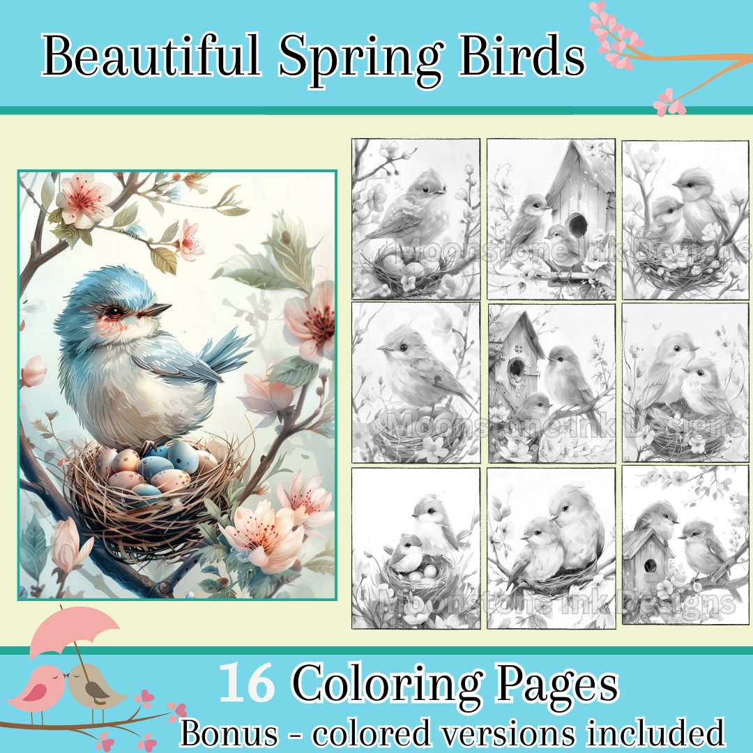 Beautiful Spring Birds Adult Coloring Pages, 16 Digital Downloads ...