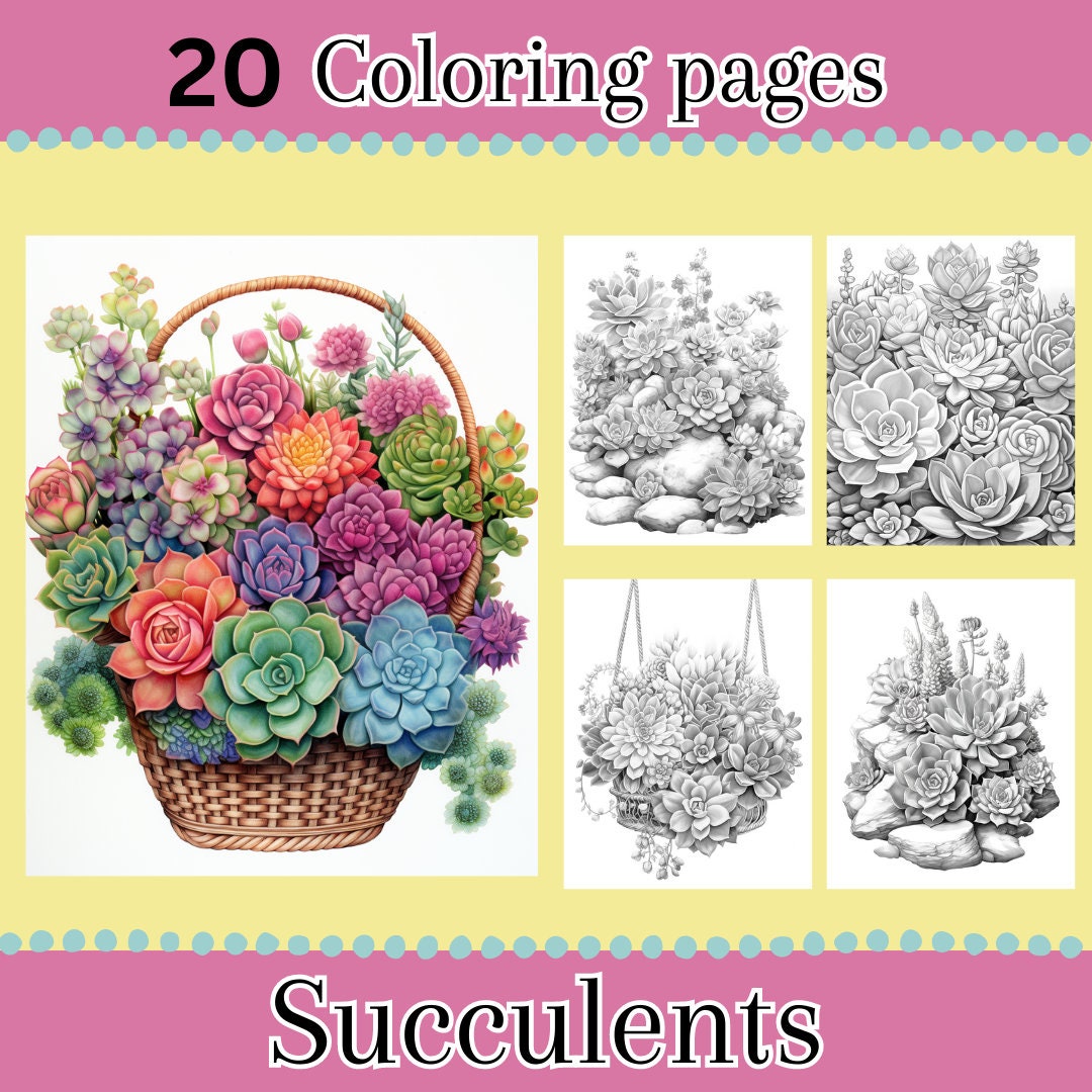 Succulents Adult Coloring Pages, 20 Digital Downloads, Beautiful ...