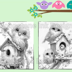 Whimsical Birds Adult Coloring Pages, 16 Digital Downloads, Grayscale ...