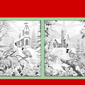 Winter Cardinals Adult Coloring Pages, 20 Digital Downloads, Grayscale ...