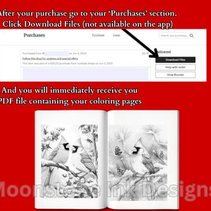 Winter Cardinals Adult Coloring Pages, 20 Digital Downloads, Grayscale ...