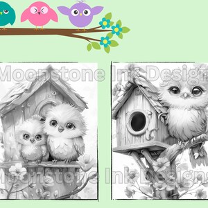 Whimsical Birds Adult Coloring Pages, 16 Digital Downloads, Grayscale ...