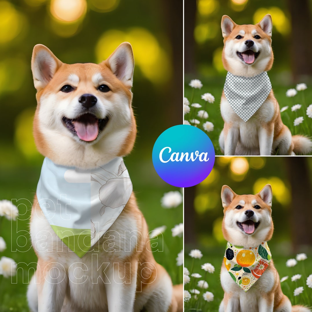 Pet Bandana Collar Mockup Canva, Dog Bandana Mock Up, Canva Drag and ...