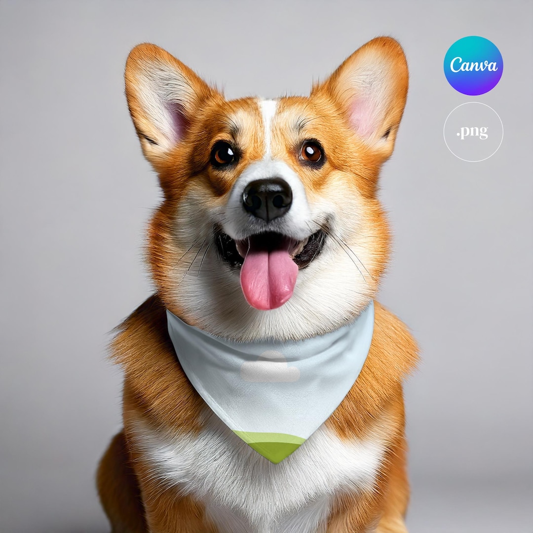 Pet Bandana Collar Canva Mockup, PNG Mock Up, Dog Scarf Mock Up, Canva ...