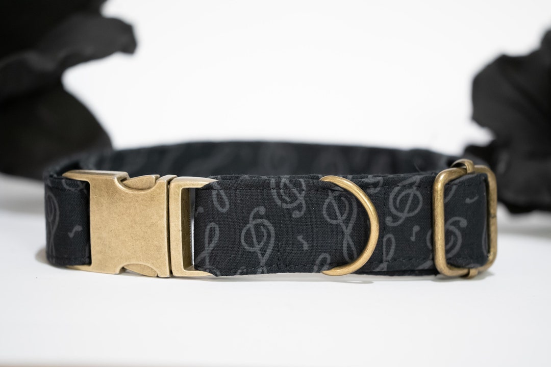Music Notes Dog Collar - Etsy