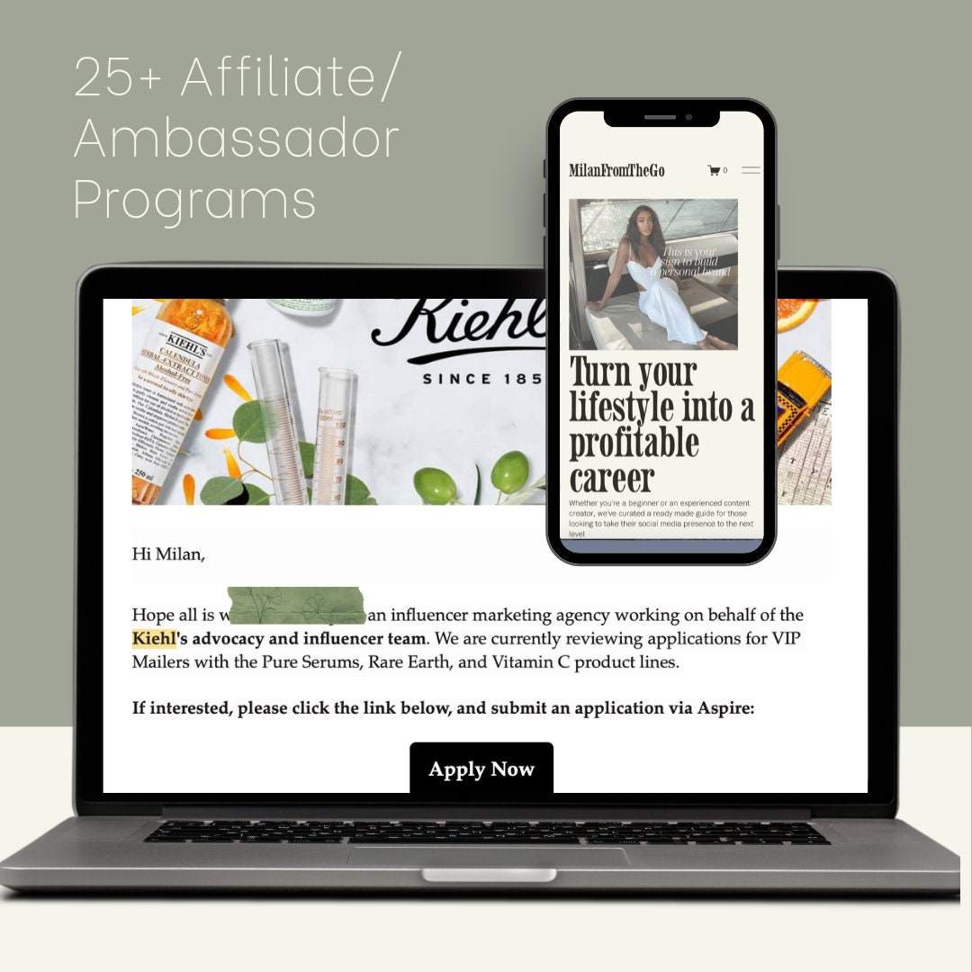 Influencer and Affiliate Program Guide Notion Template | Affiliate ...