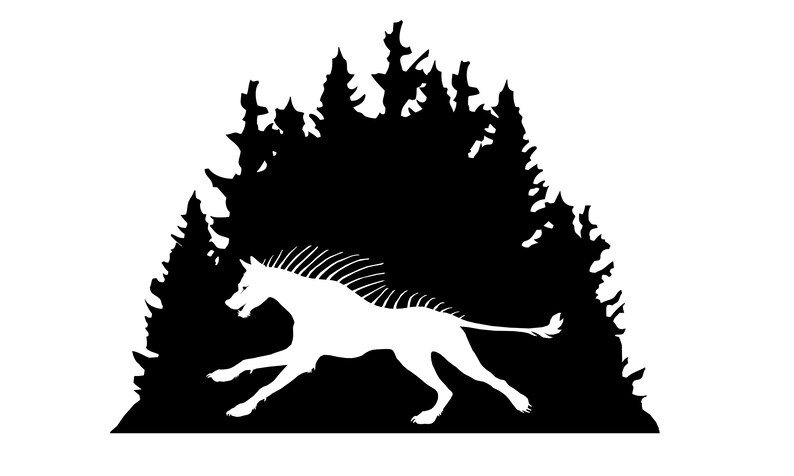 Chupacabra Decal 6 Legend Cryptid Myth Lore - Etsy