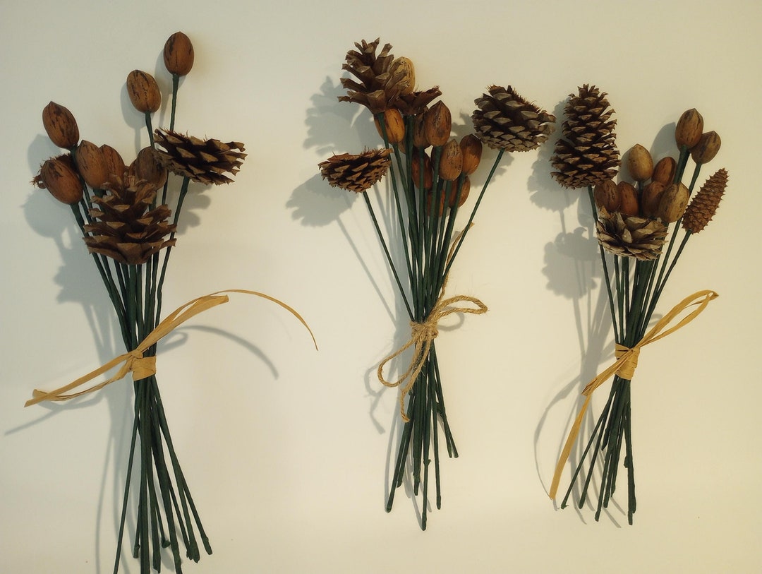 Diy Flower Arrangement Accessory, Assorted Pine Cone and Pecan Long ...