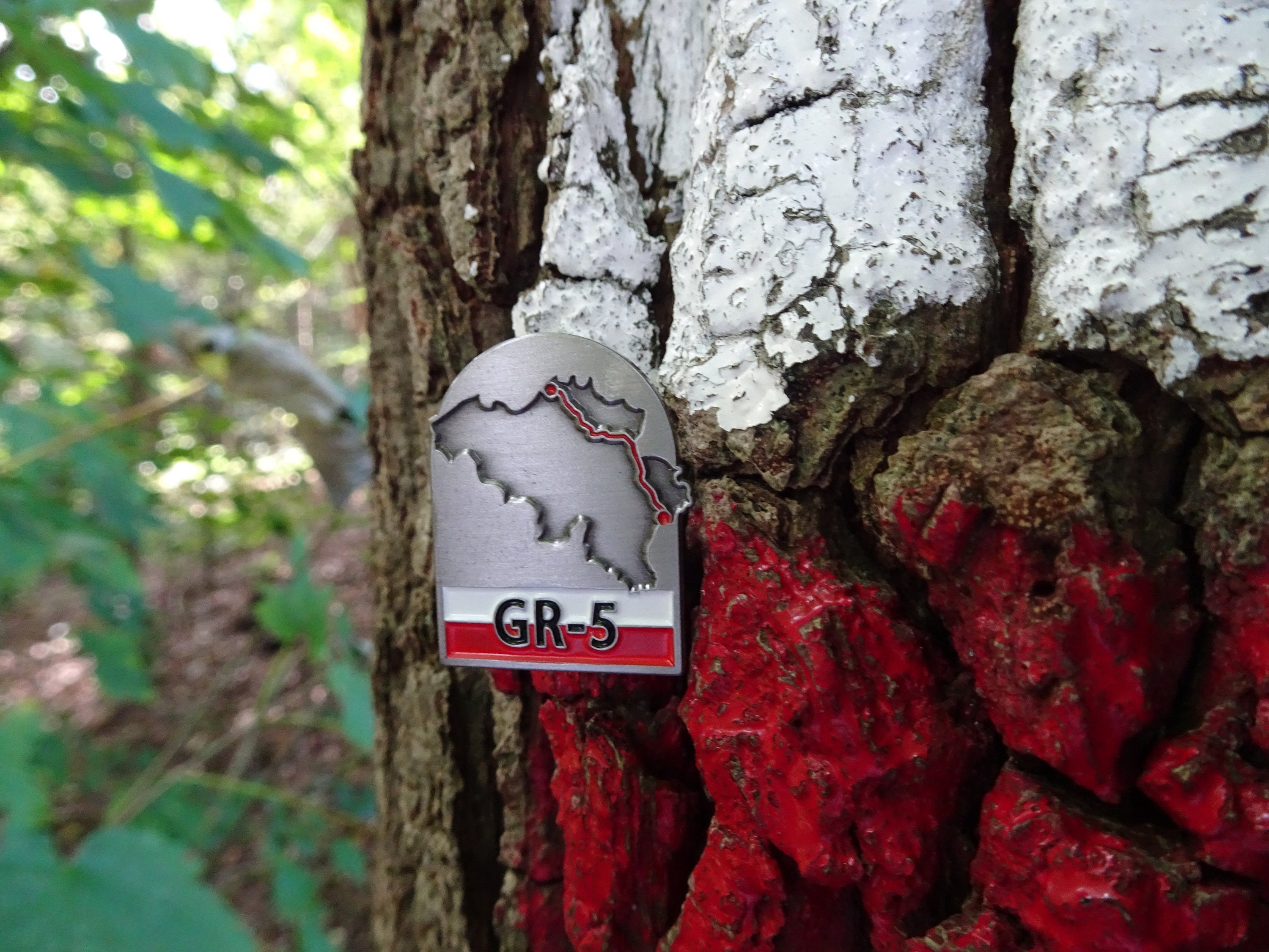 GR5 Grand Route Long Distance Walk Belgium Enamel Pin Gadget Walking ...