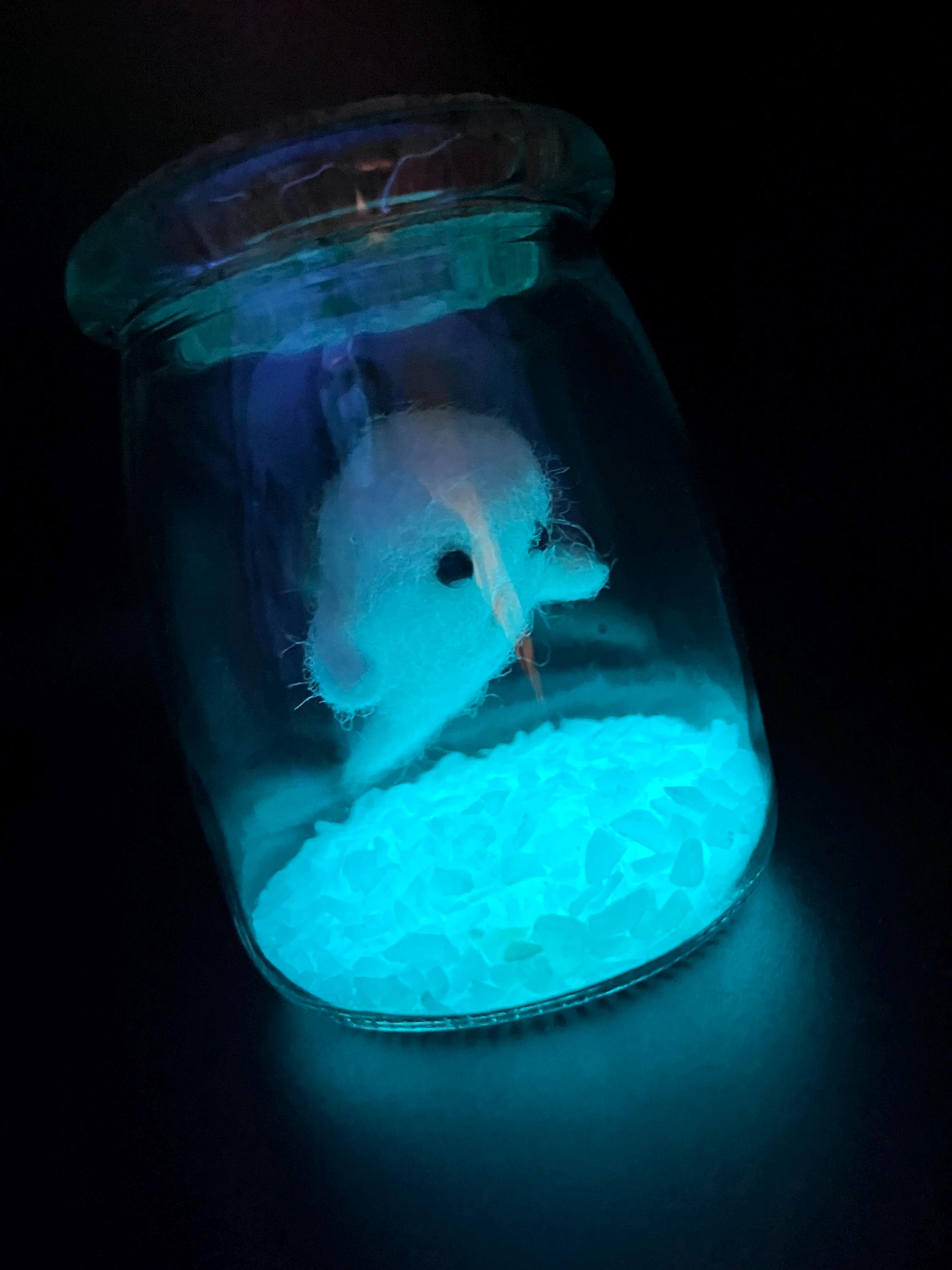 Handmade Ghost in a Jar With Glow in the Dark Stones. Halloween Decor ...