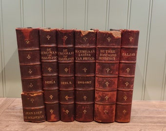 Serie of 6 Antique Flemish (dutch) Books - 19th Century - Decorative ...