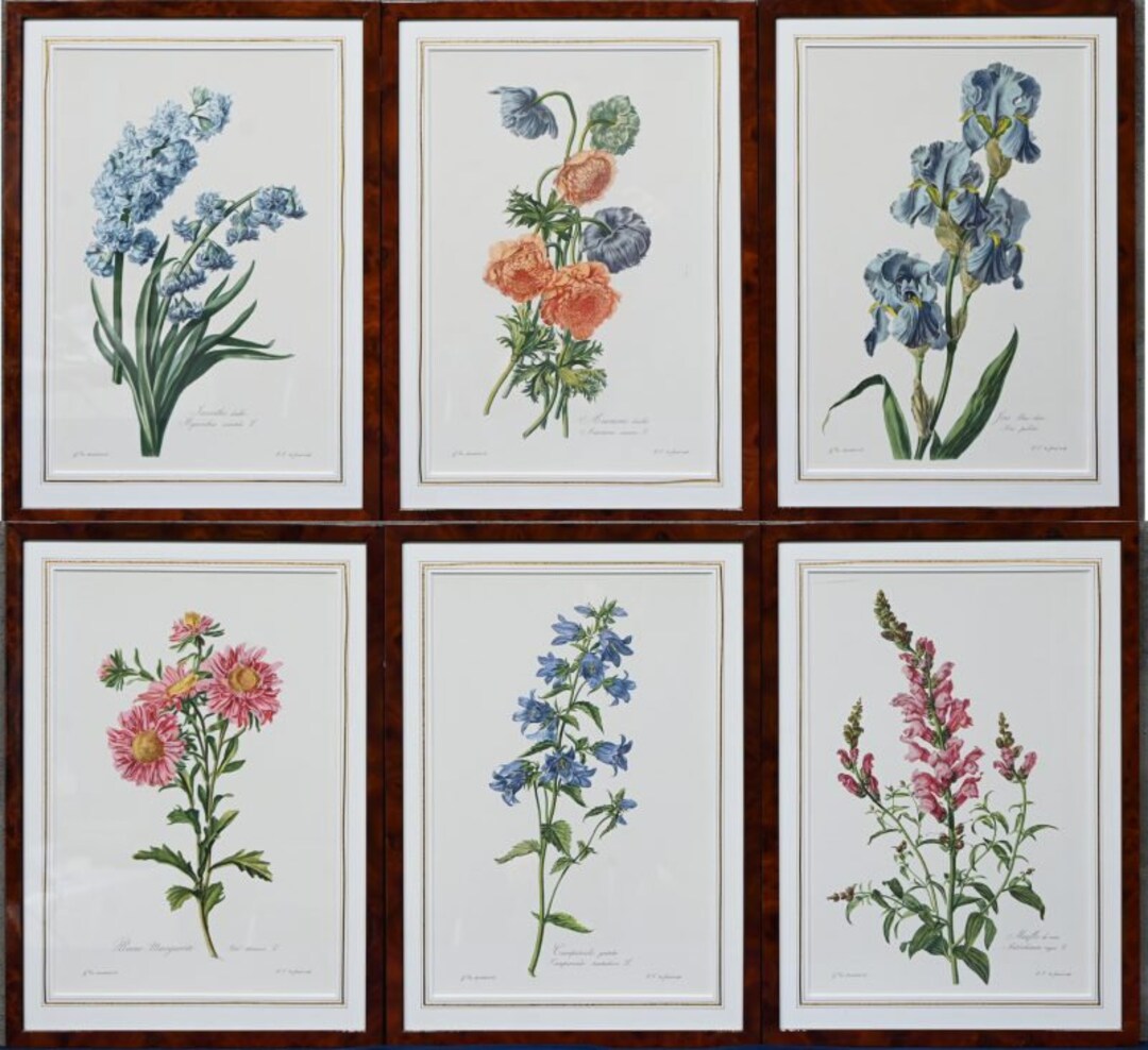 Large 6-piece Set of Images of Flowers in Traditional/historic Style ...