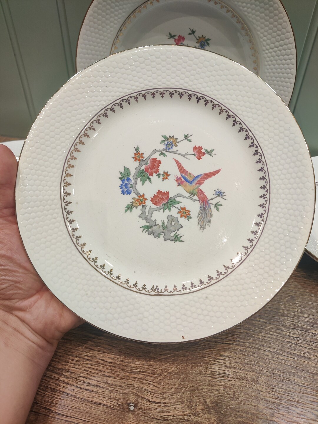 French Decorative Plates - L'amandinoise Paradise - Birds of Paradise ...