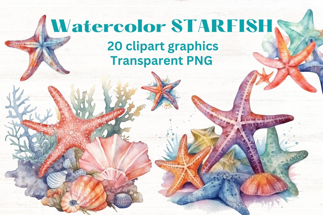 Colorful Ocean Starfish Clipart, 20 Clip Art Images, Transparent Png ...