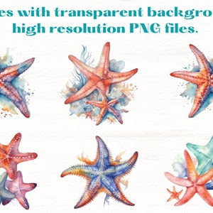 Colorful Ocean Starfish Clipart, 20 Clip Art Images, Transparent Png ...