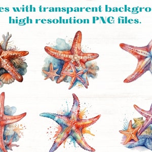 Colorful Ocean Starfish Clipart, 20 Clip Art Images, Transparent Png ...