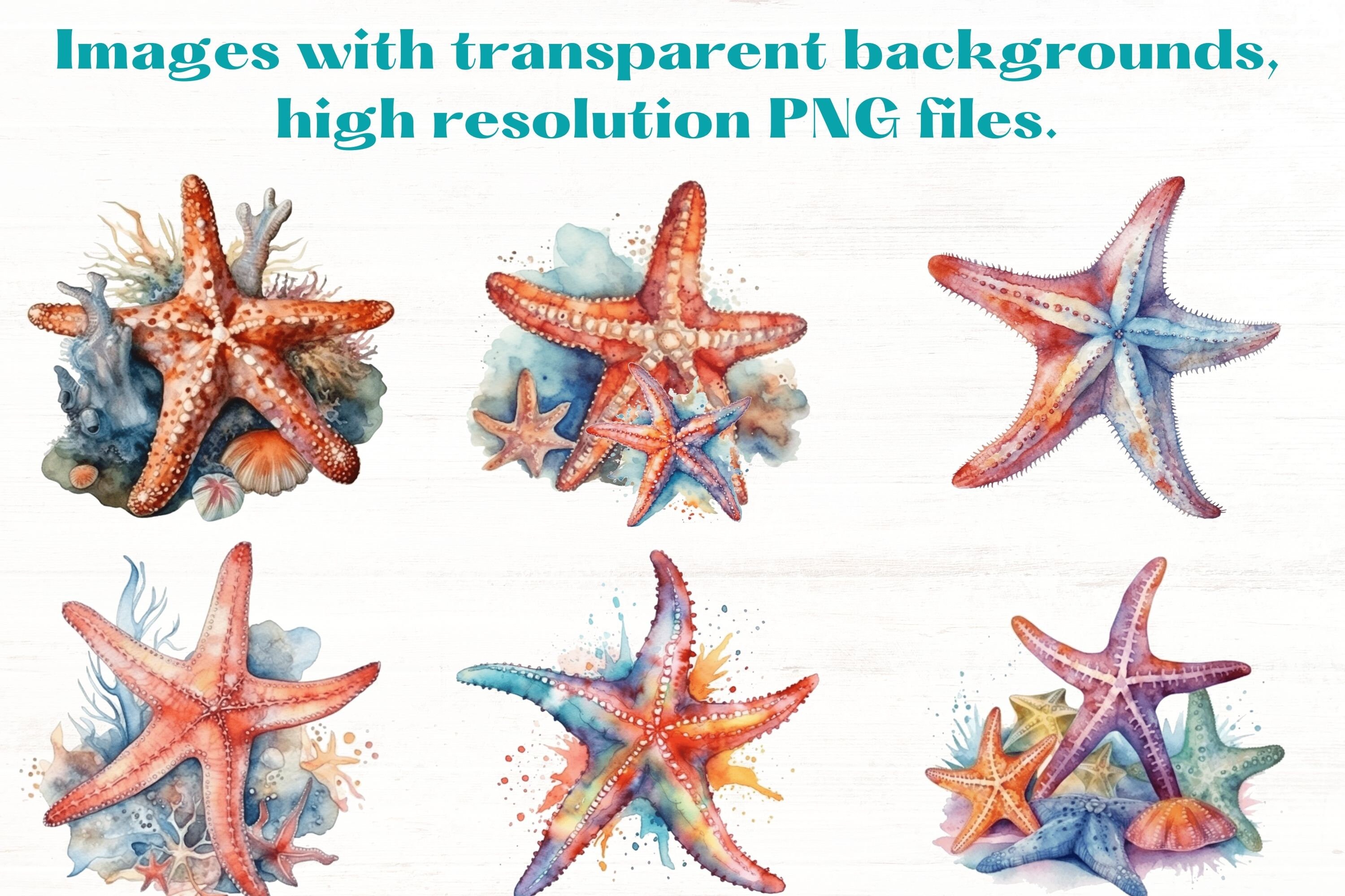 Colorful Ocean Starfish Clipart, 20 Clip Art Images, Transparent Png ...