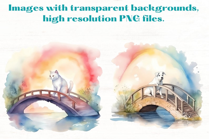RAINBOW BRIDGE Pet Memorial Clipart Illustrations, 10 Clip Art Images ...