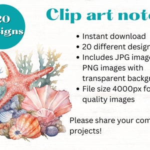 Colorful Ocean Starfish Clipart, 20 Clip Art Images, Transparent Png ...