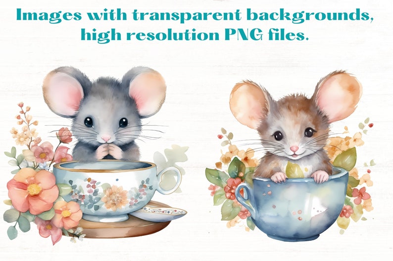 Cute MICE Clipart Set, 19 Clip Art Images, Transparent Png Files ...