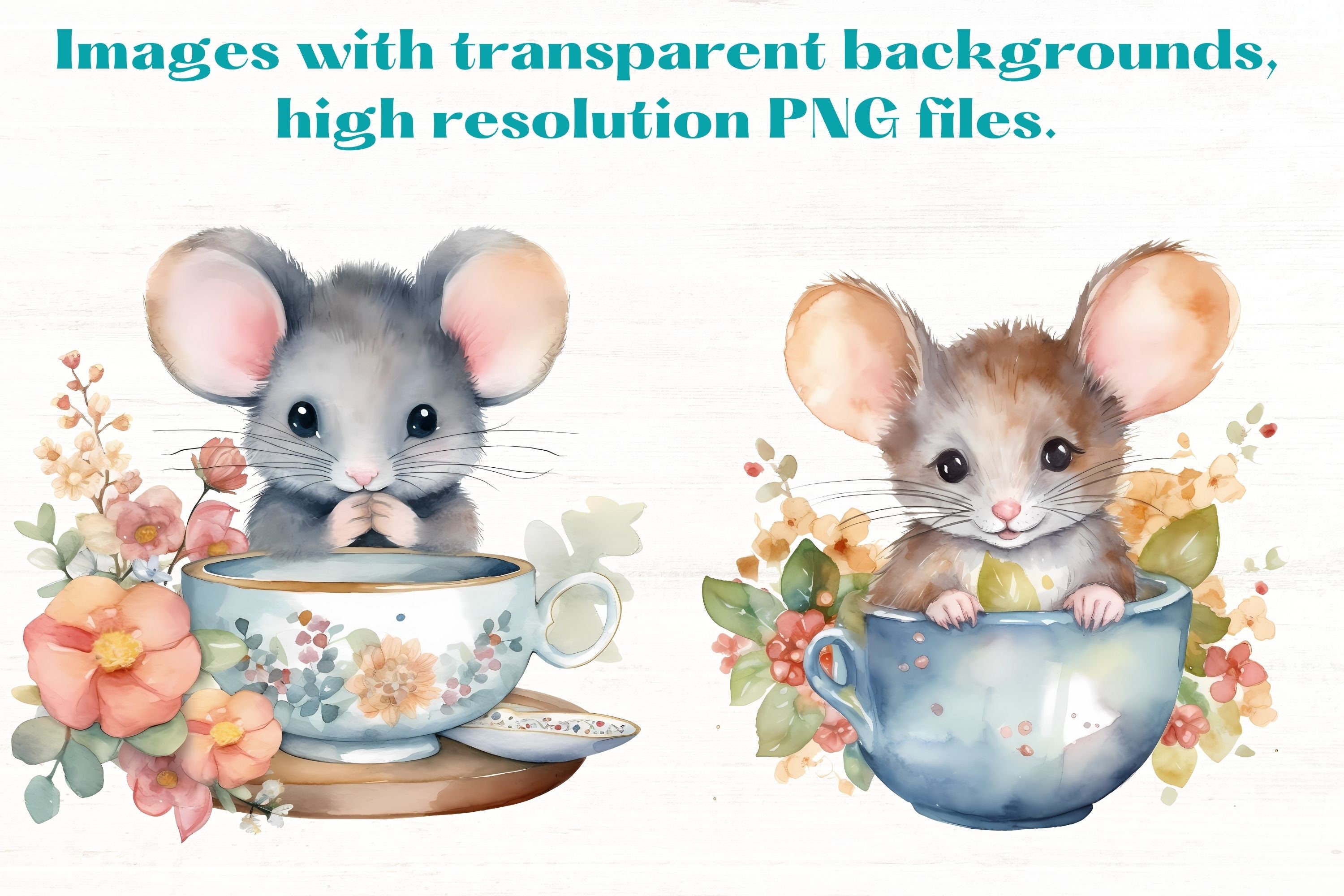 Cute MICE Clipart Set, 19 Clip Art Images, Transparent Png Files ...