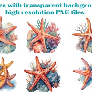 Colorful Ocean Starfish Clipart, 20 Clip Art Images, Transparent Png ...