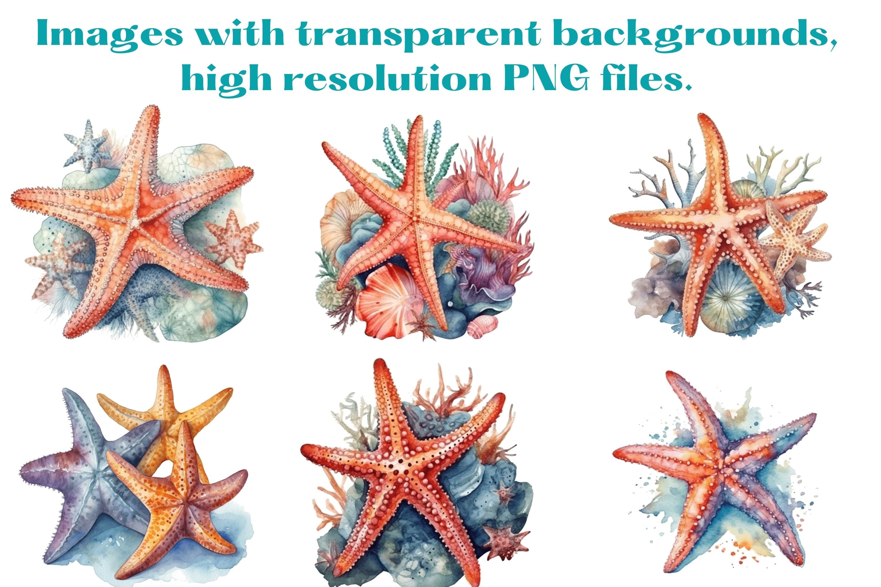 Colorful Ocean Starfish Clipart, 20 Clip Art Images, Transparent Png ...