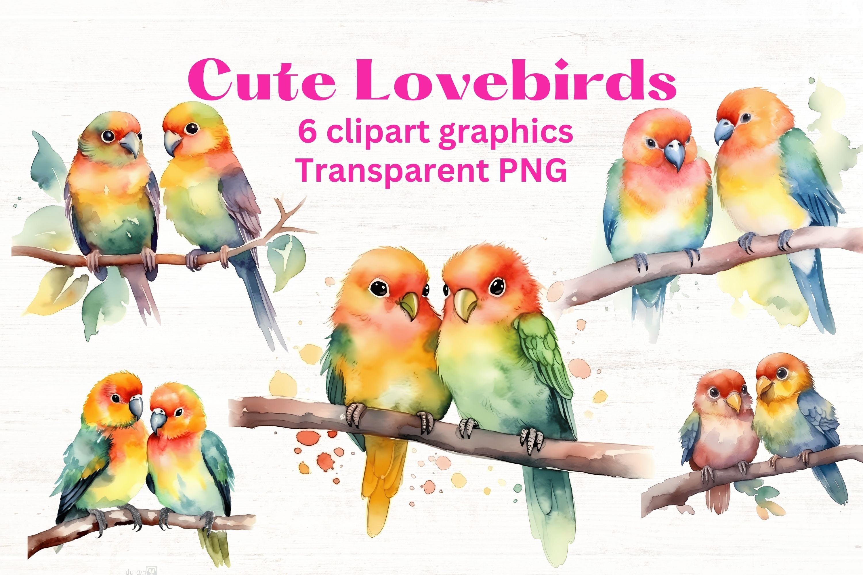 Cute Love Bird Clipart