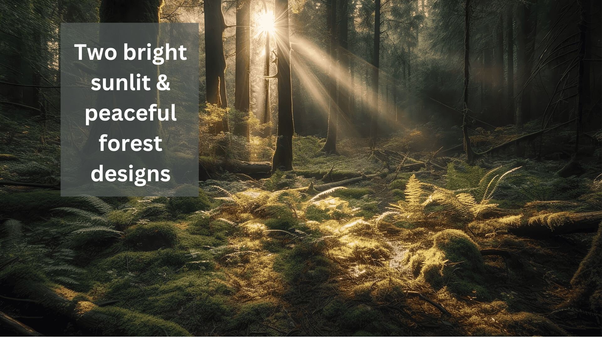 Zoom Backgrounds, Peaceful FOREST Designs, 6 Xblurred and Original ...