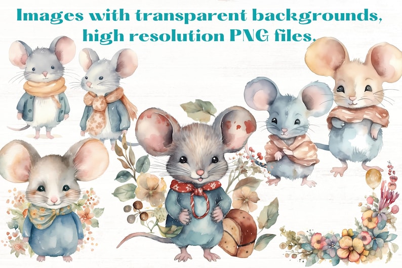 Cute MICE Clipart Set, 19 Clip Art Images, Transparent Png Files ...