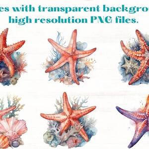 Colorful Ocean Starfish Clipart, 20 Clip Art Images, Transparent Png ...