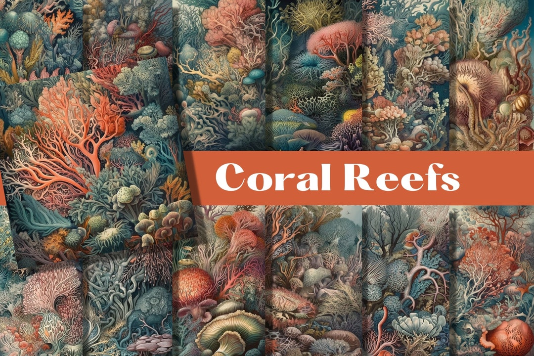 CORAL REEF Fantasy Botanical Illustration Digital Papers, Backgrounds ...