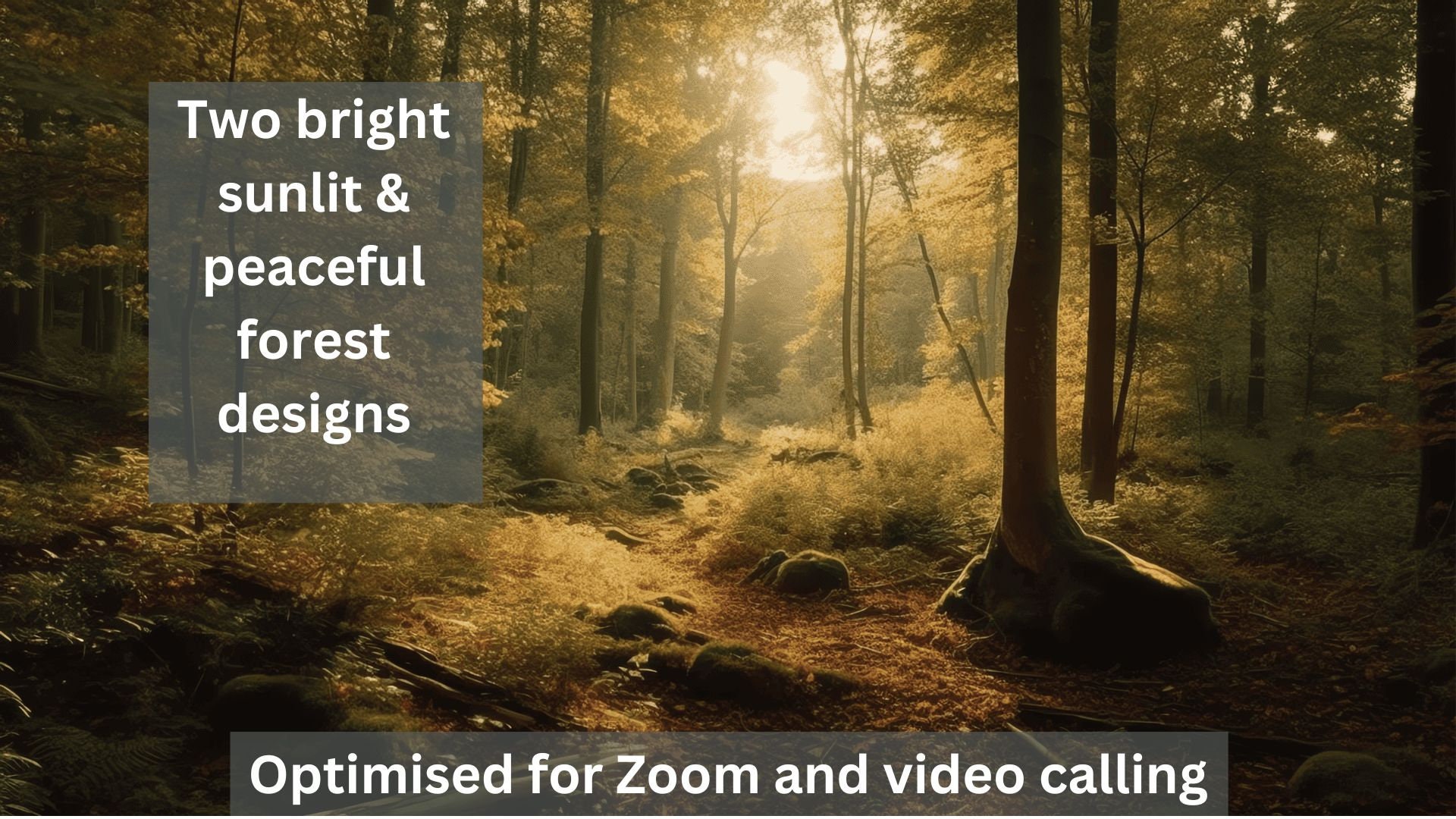 Zoom Backgrounds, Peaceful FOREST Designs, 6 Xblurred and Original ...