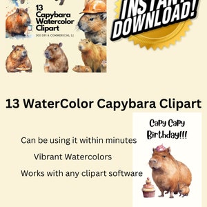 Watercolor Capybara Clipart 13 Bundle - Capybara Download - Instant ...