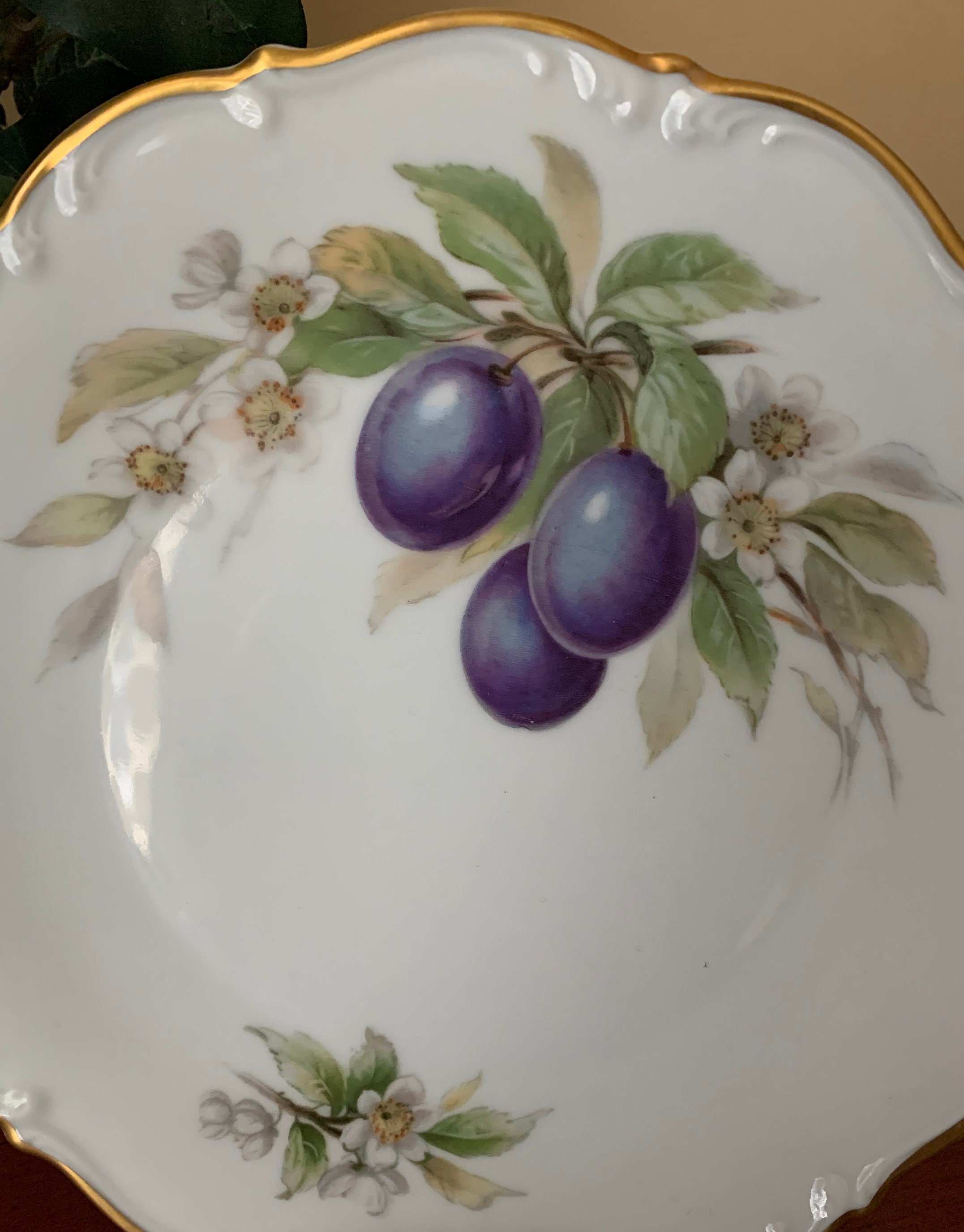 PT Bavaria Tirschenreuth Pasco FRUIT Pattern Salad Plates, Set of Two 2 ...