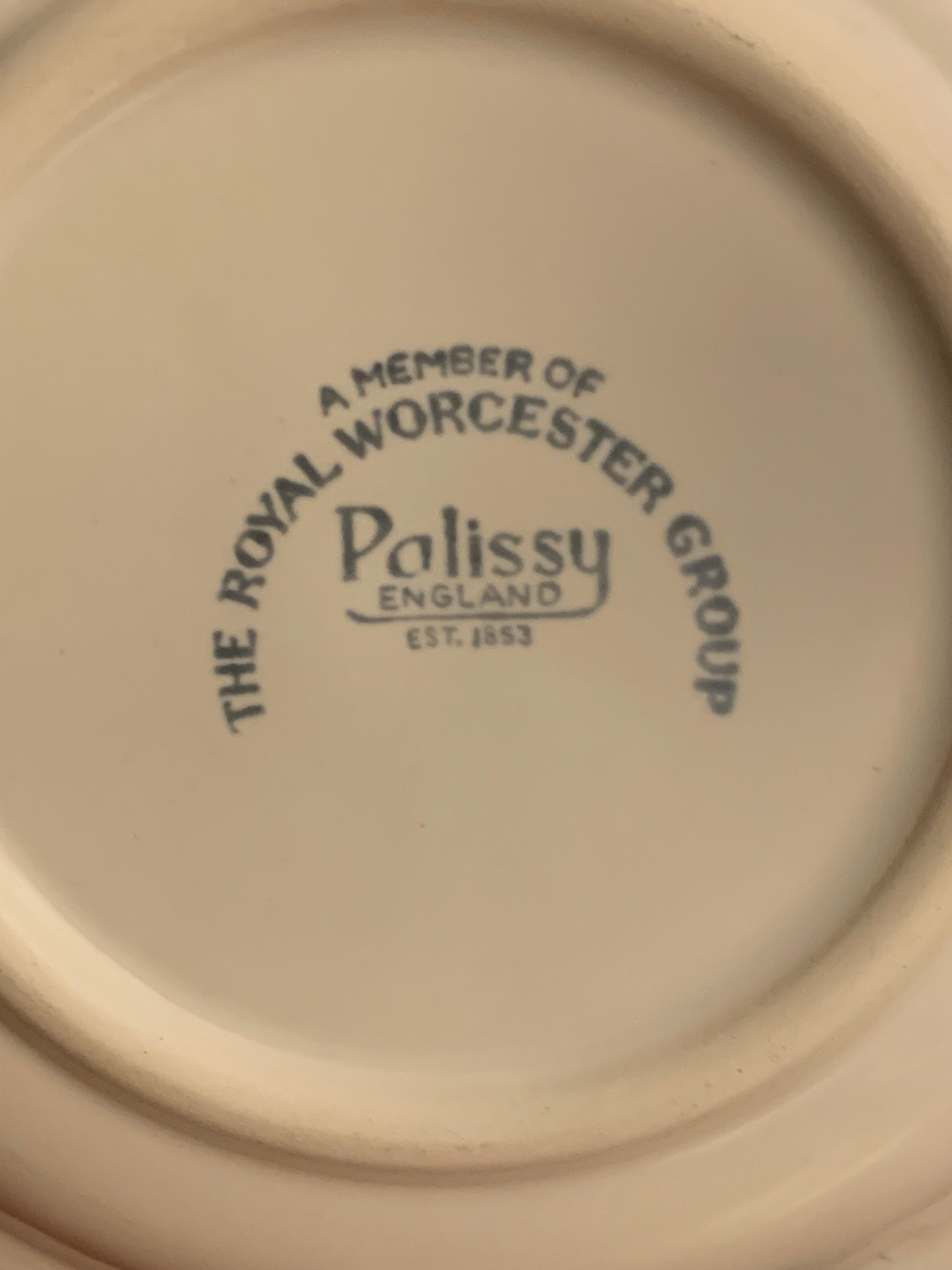 Royal Worcester Palissy Sauce Plate Trinket Dish Mid-century - Etsy