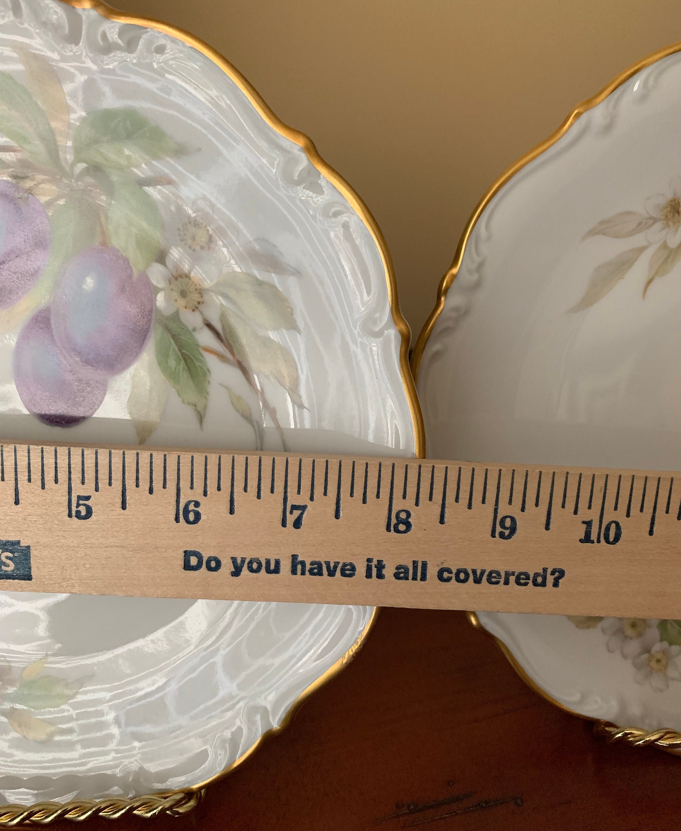 PT Bavaria Tirschenreuth Pasco FRUIT Pattern Salad Plates, Set of Two 2 ...